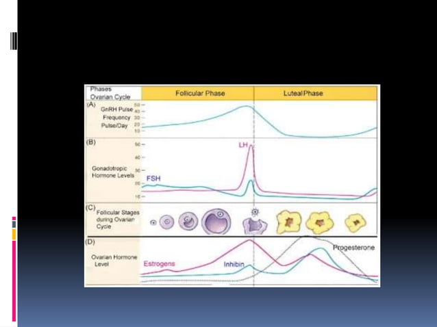 Biologi ppt nds reproduksi2 | PPT