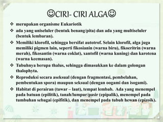 Biologi presentation (alga) | PPTX