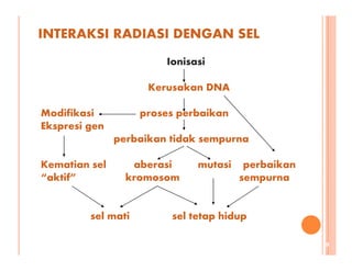 BIOLOGI RADIAsi, biologi radiasi, biologi | PDF