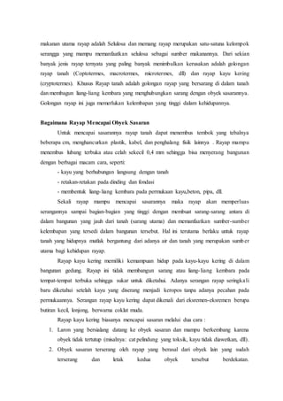 Biologi rayap | DOCX