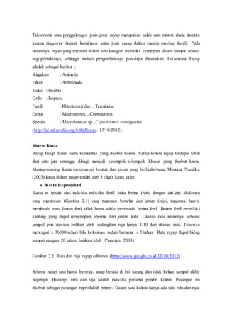 Biologi rayap | PDF