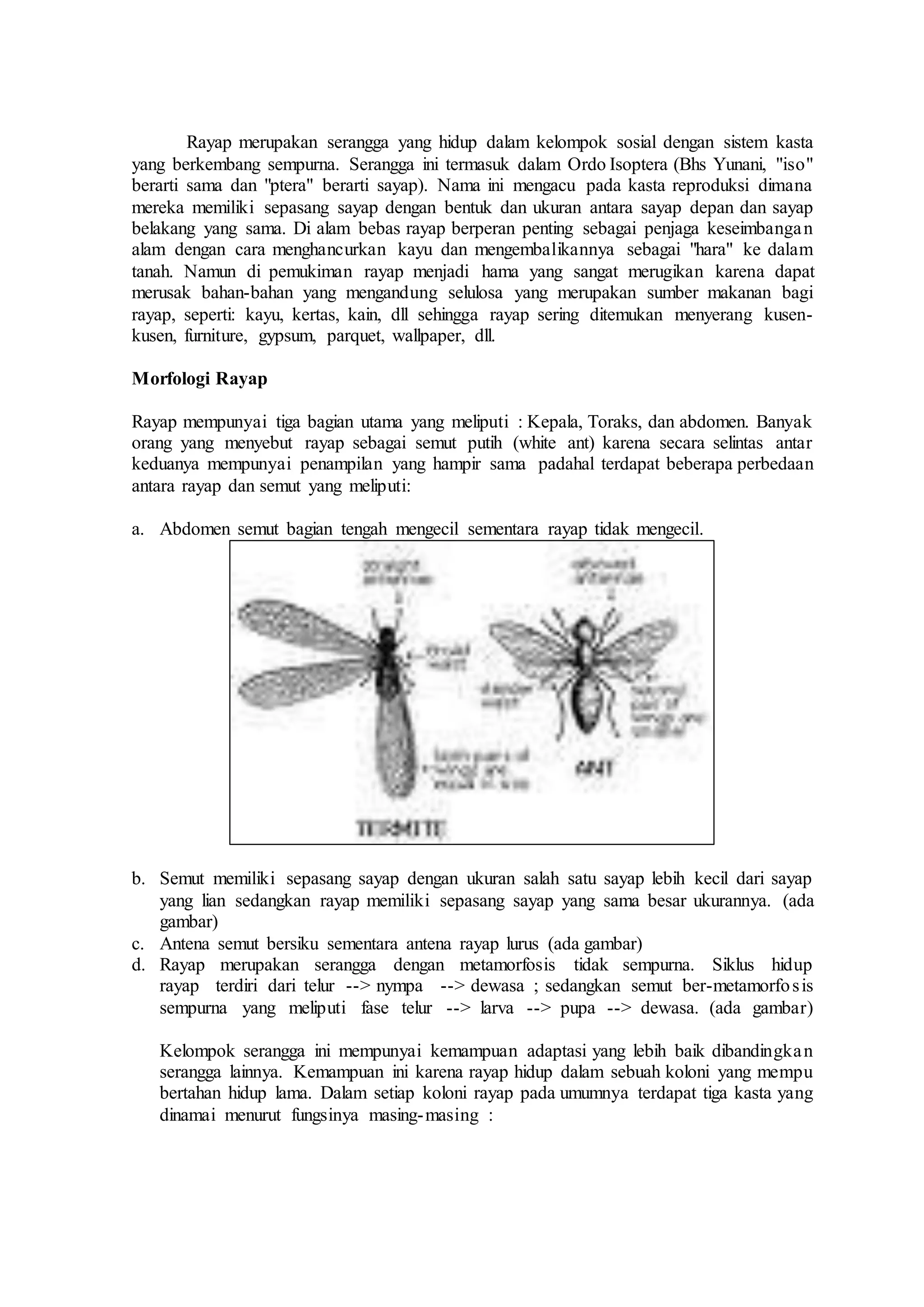 Biologi rayap | DOCX