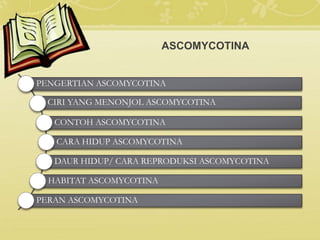 Biologi ASCOMYCOTINA bahasa Indonesia | PPT