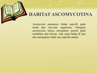 Biologi ASCOMYCOTINA bahasa Indonesia | PPT
