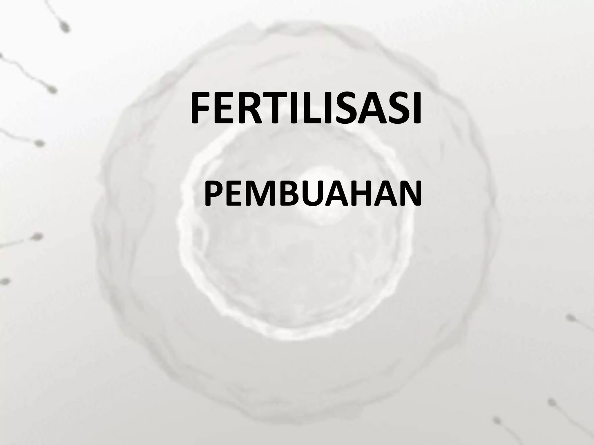 Reproduksi kelas 11 | PPTX