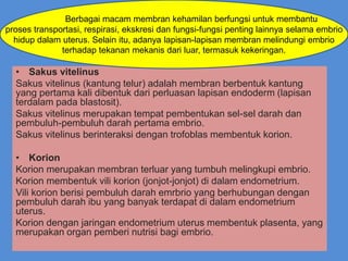 Reproduksi kelas 11 | PPTX