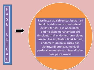 Reproduksi kelas 11 | PPTX