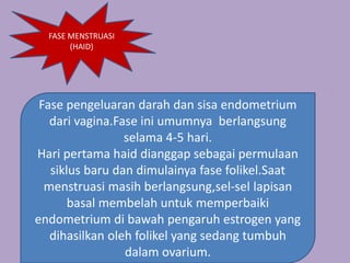 Reproduksi kelas 11 | PPTX