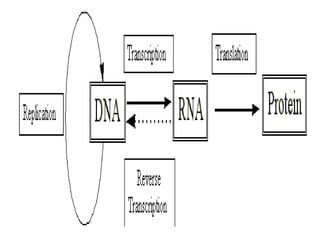 bioteknologiii tbp 122222222²22222222222 | PPT