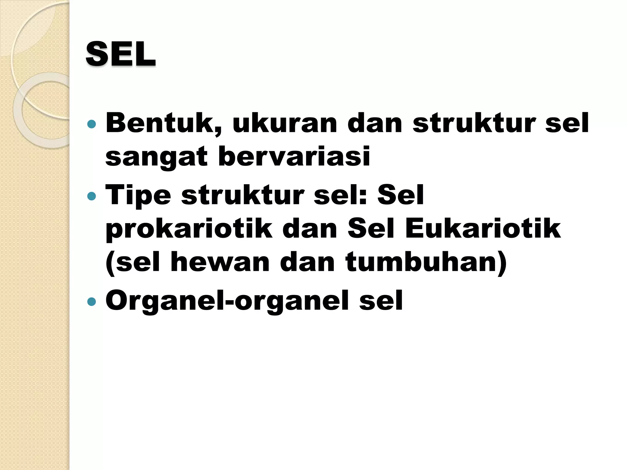Biologi sel | PPTX