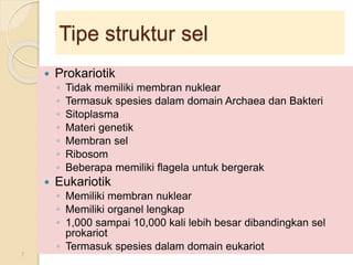 Biologi sel | PPTX