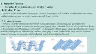 BIOLOGI SEL KEL 3 KELAS 1B | PPTX