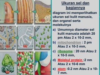 Biologi Sel.pptx