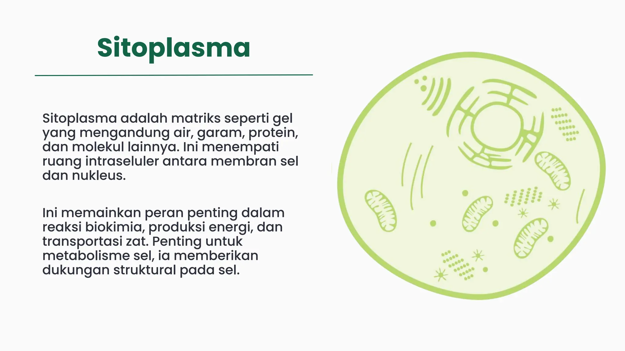 Biologi Sel.pptx