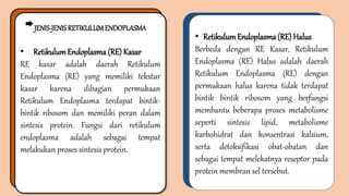 BIOLOGI SEL GENETIKA.pptx