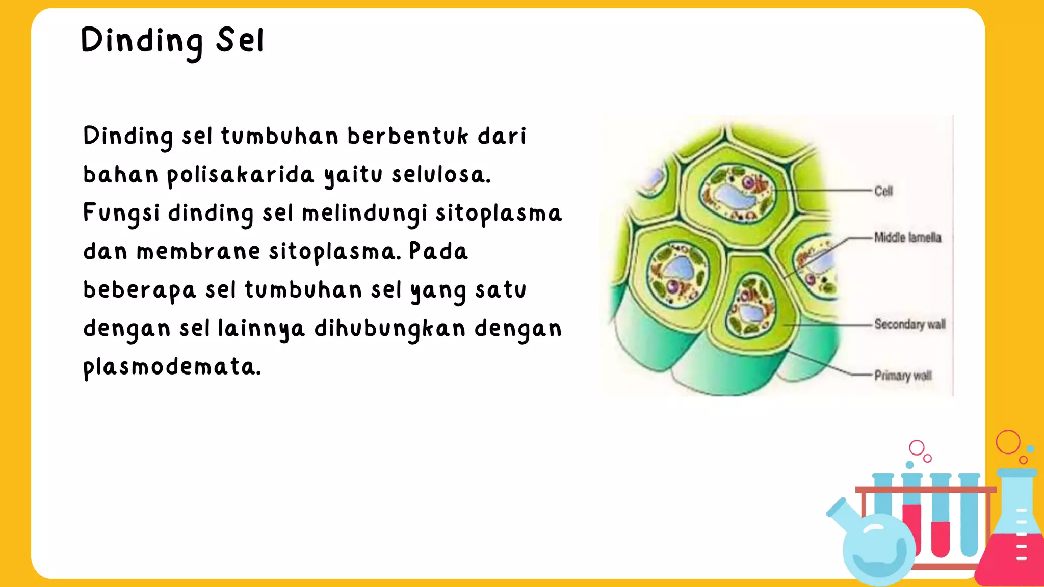 Biologi Sel_Kelompok 2_5J. ppt.pptx