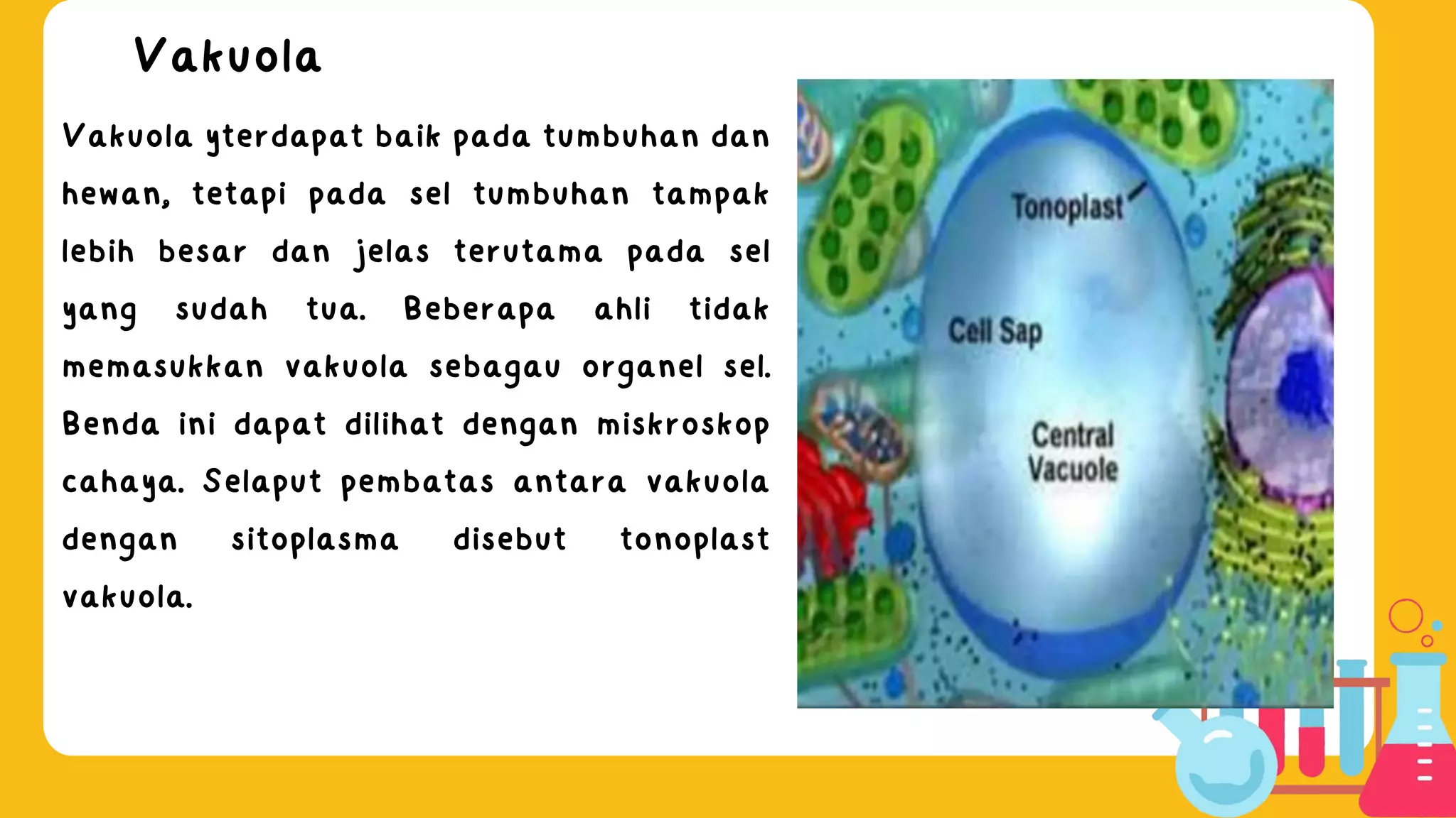 Biologi Sel_Kelompok 2_5J. ppt.pptx