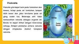 Biologi Sel_Kelompok 2_5J. ppt.pptx