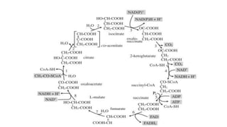 Biologi sel Pertemuan ke 10 power point biokimia | PPTX