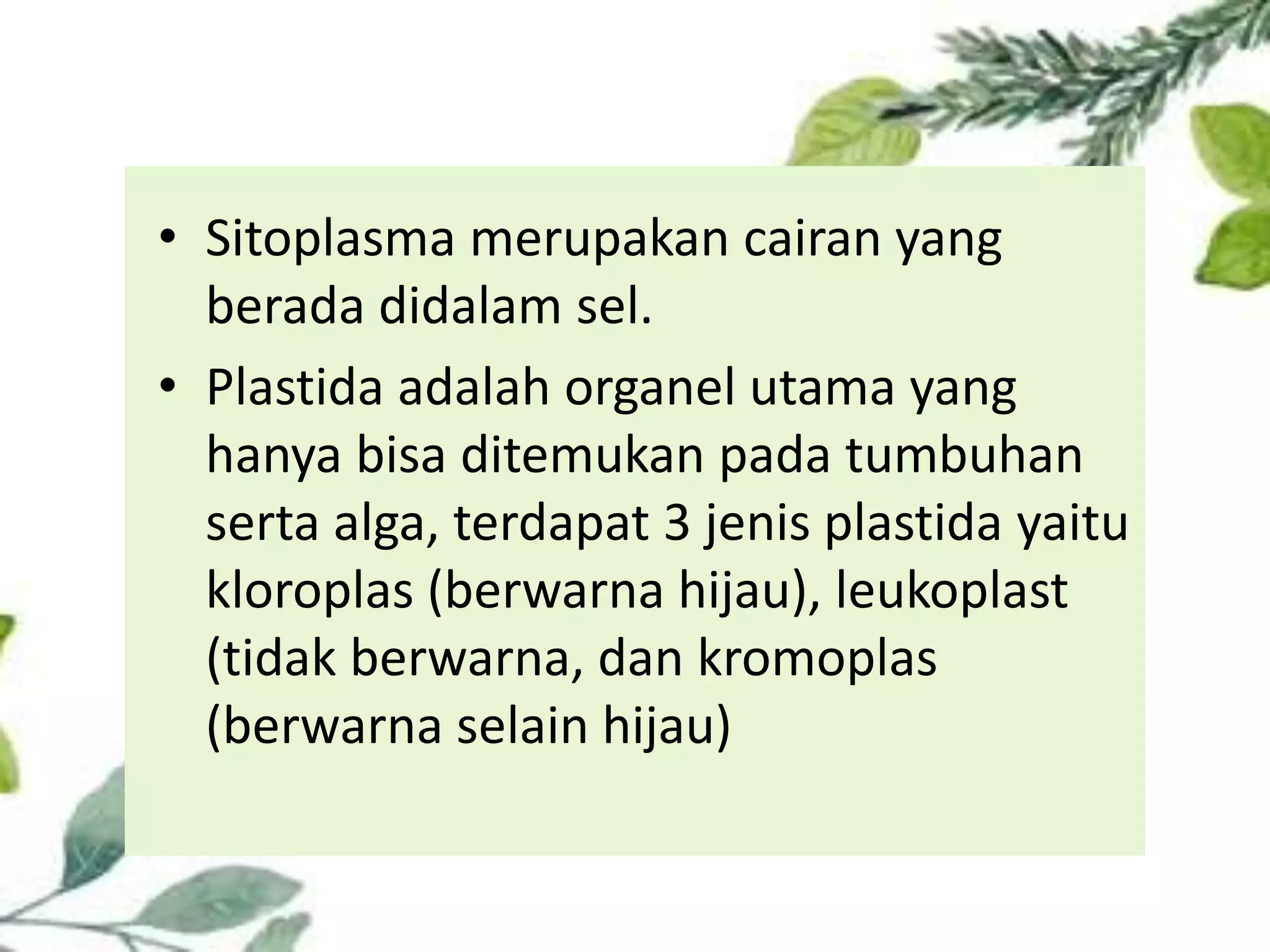 Biologi Sel_Protoplasmik Sel.pptx