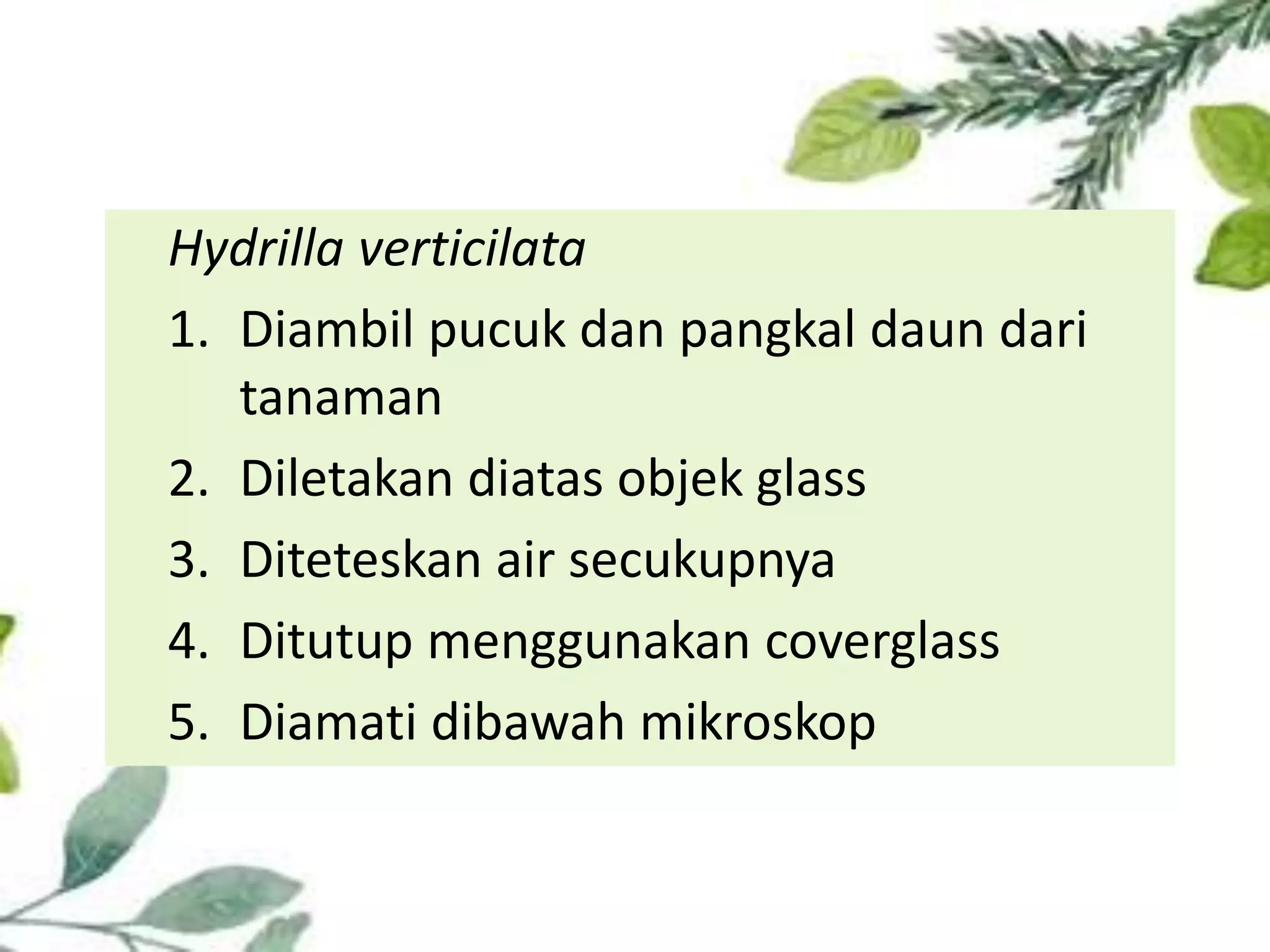 Biologi Sel_Protoplasmik Sel.pptx