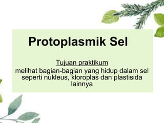 Biologi Sel_Protoplasmik Sel.pptx