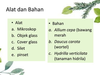 Biologi Sel_Protoplasmik Sel.pptx