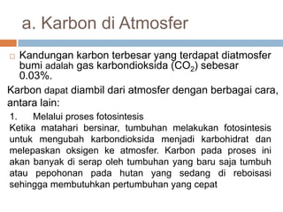 Biologi – siklus karbon, bioma hutan basah | PPTX