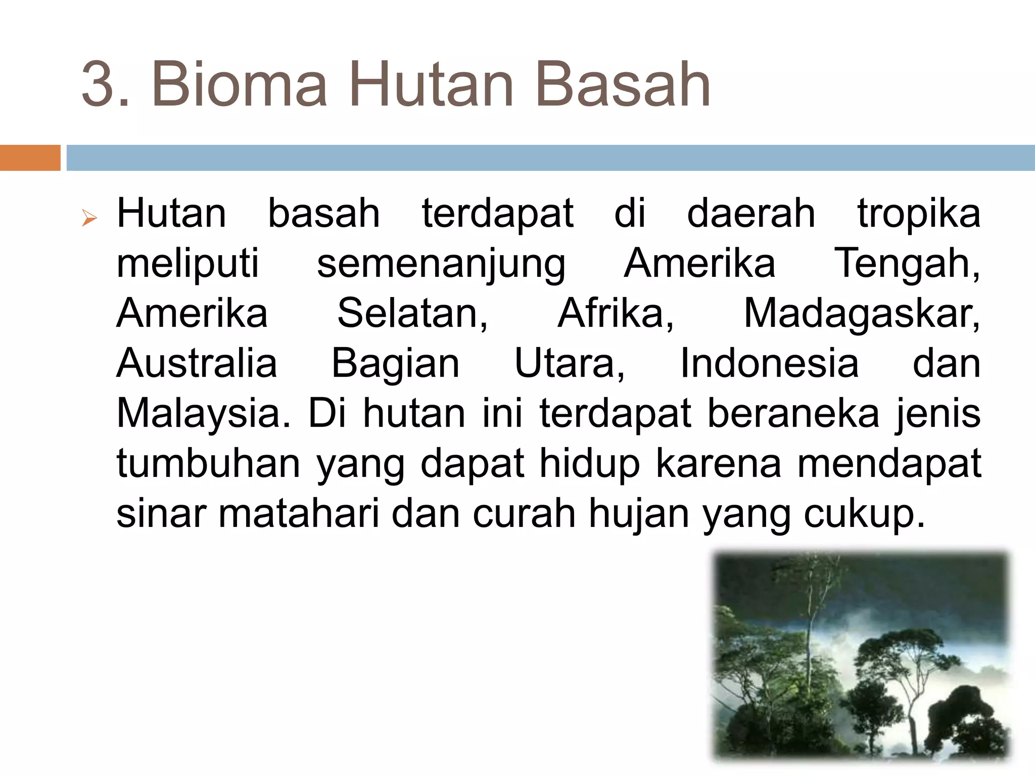 Biologi – siklus karbon, bioma hutan basah | PPTX