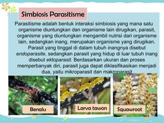 Interaksi Organisme_simbiosis | PPTX