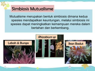 Interaksi Organisme_simbiosis | PPTX