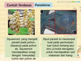 Interaksi Organisme_simbiosis | PPTX