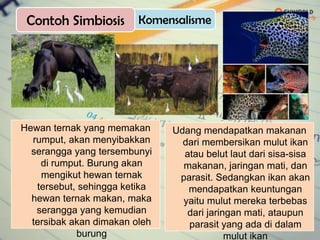 Interaksi Organisme_simbiosis | PPTX