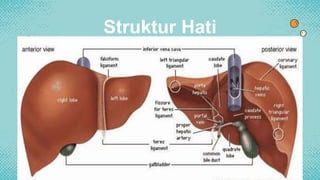 Biologi Sistem Ekskresi + Hemodialisis.pptx