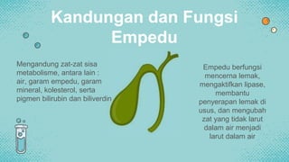 Biologi Sistem Ekskresi + Hemodialisis.pptx