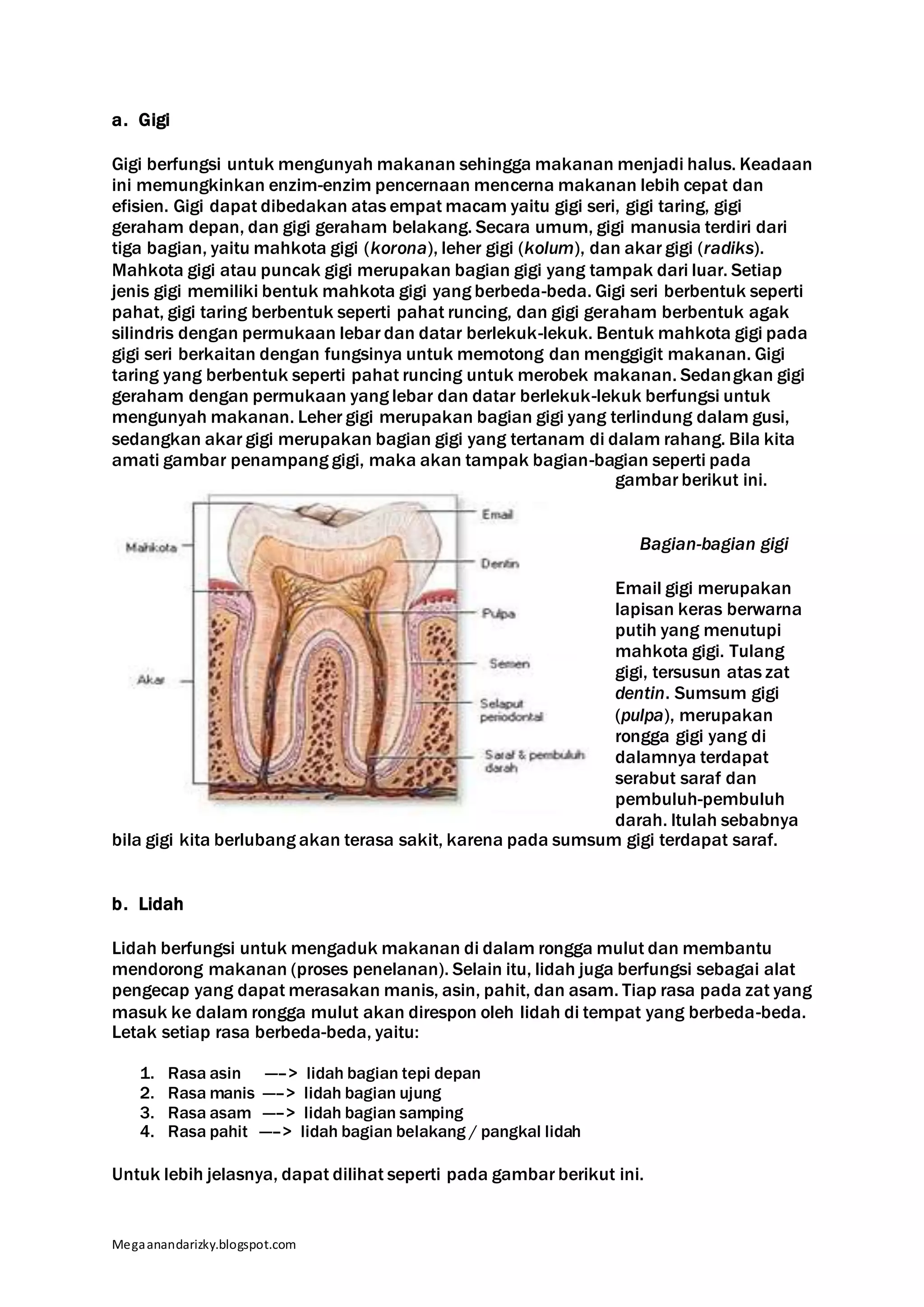 sistem pencernaan pada manusia (biologi) | DOCX