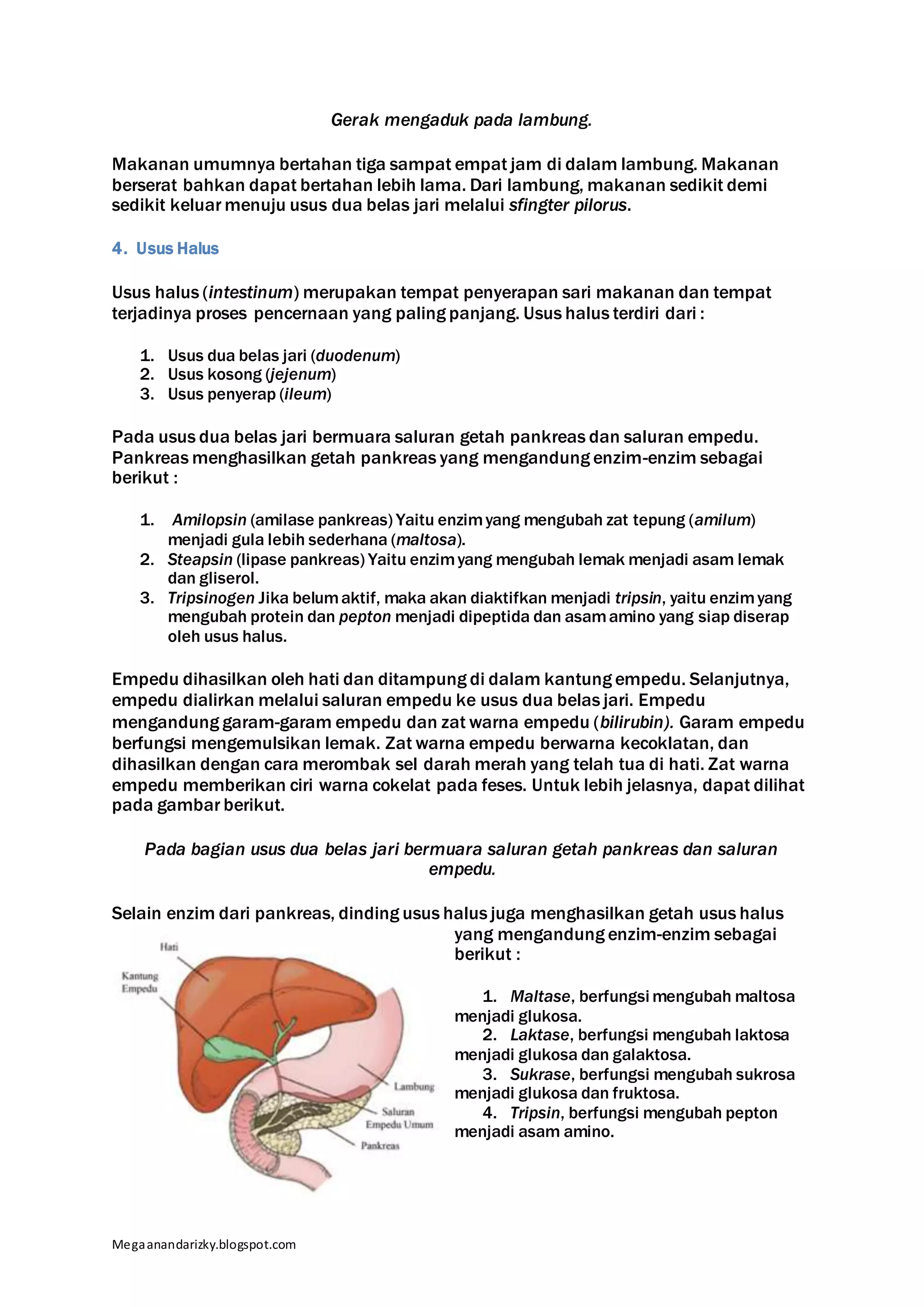 sistem pencernaan pada manusia (biologi) | DOCX