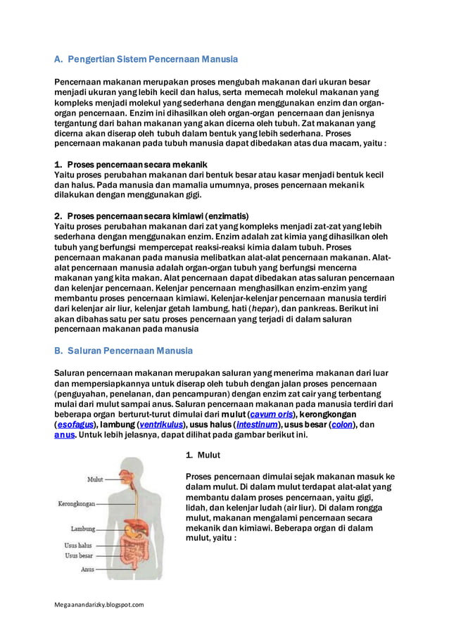 sistem pencernaan pada manusia (biologi) | DOCX