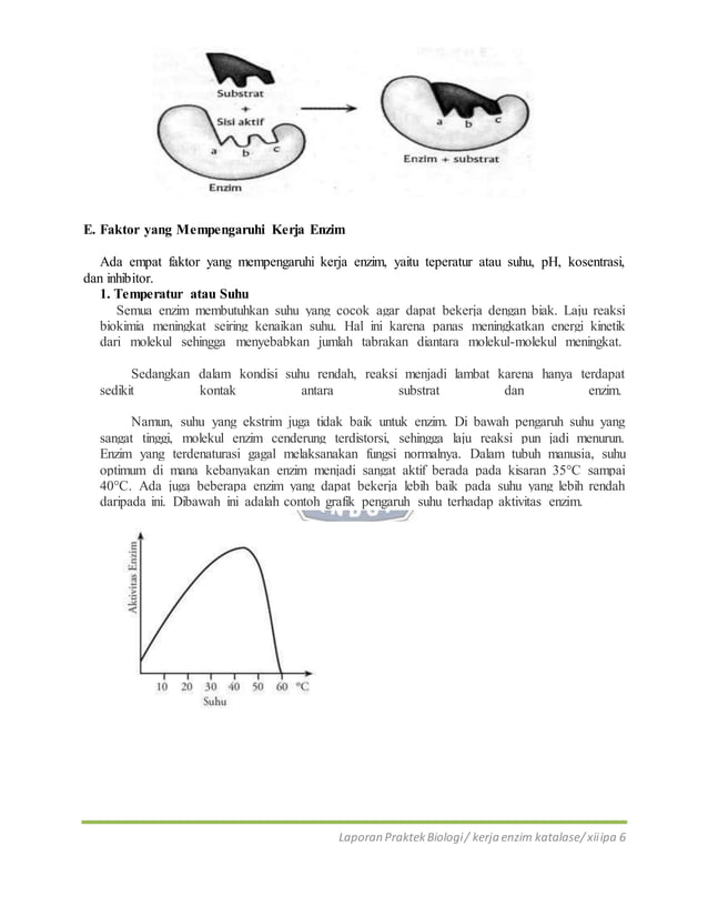 KERJA ENZIM KATALASE | DOCX