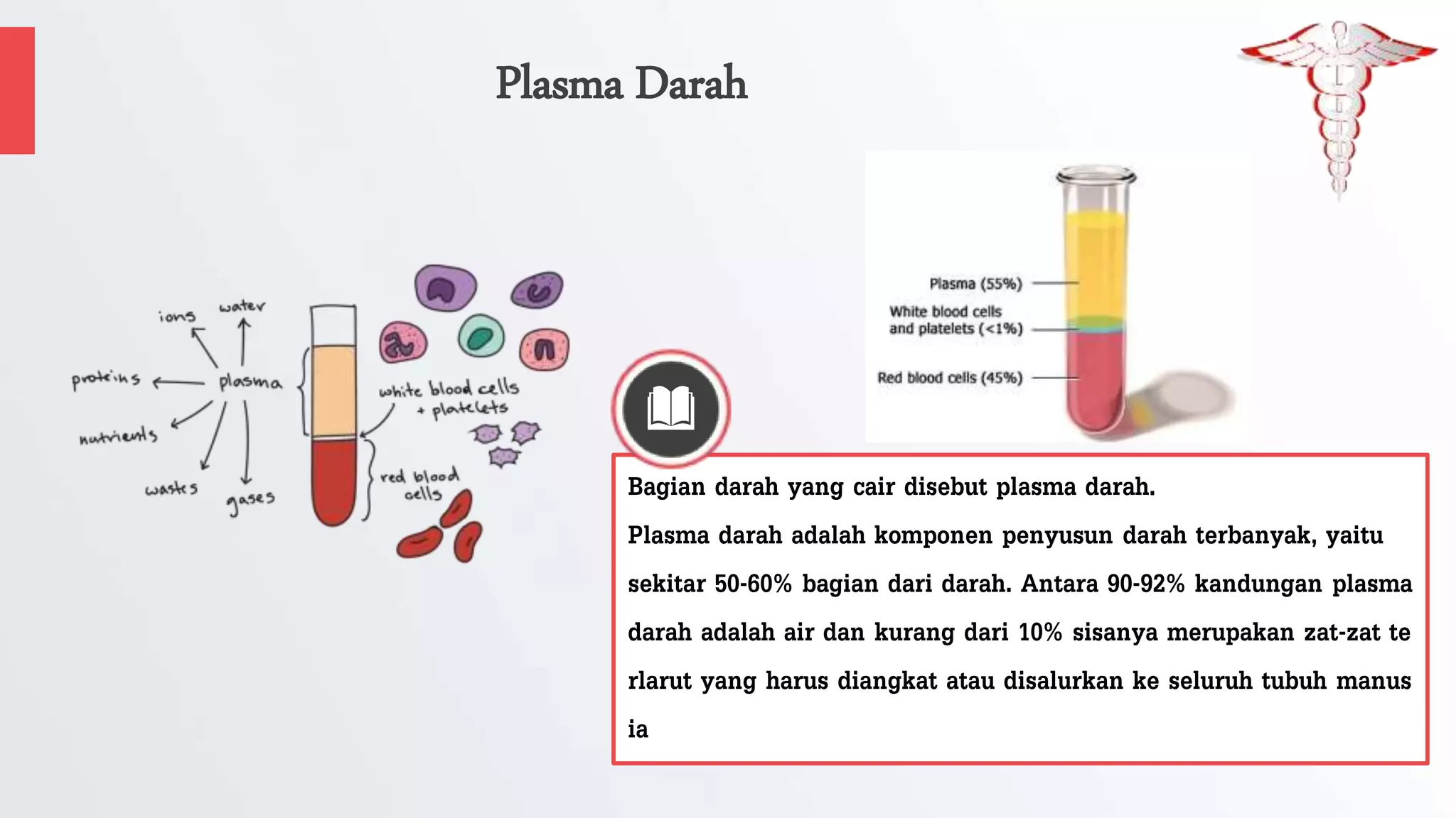 Biologi Sistem Sirkulasi Manusia Kelas 11 | PPTX