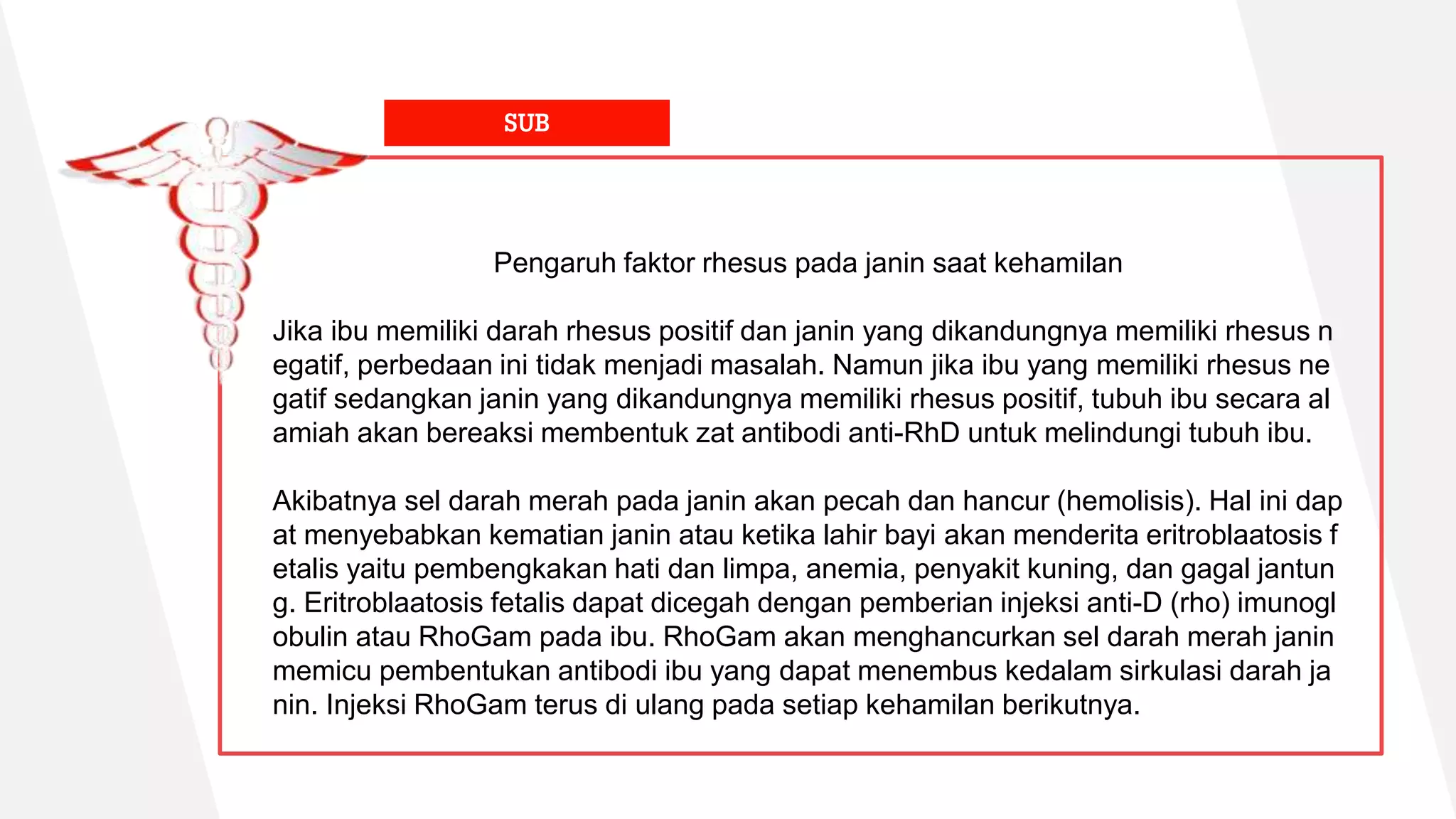 Biologi Sistem Sirkulasi Manusia Kelas 11 | PPTX
