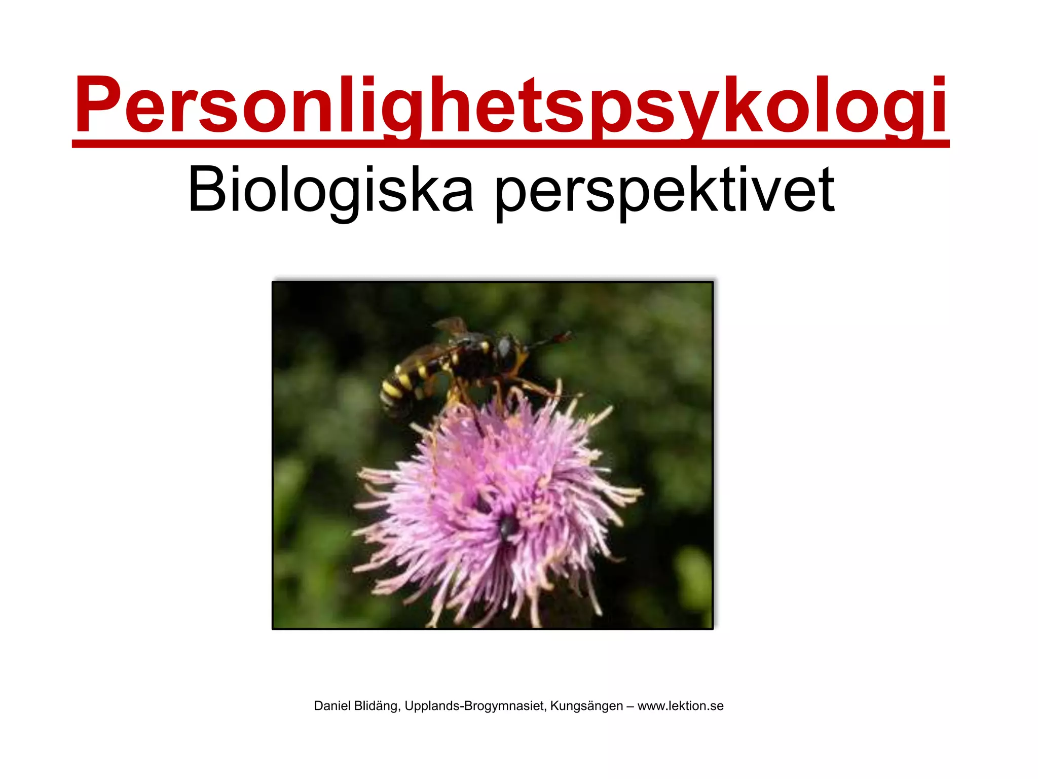 Biologiska perspektivet | PPTX