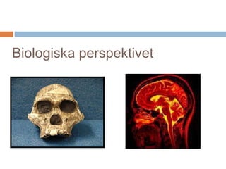Biologiska perspektivet | PPTX