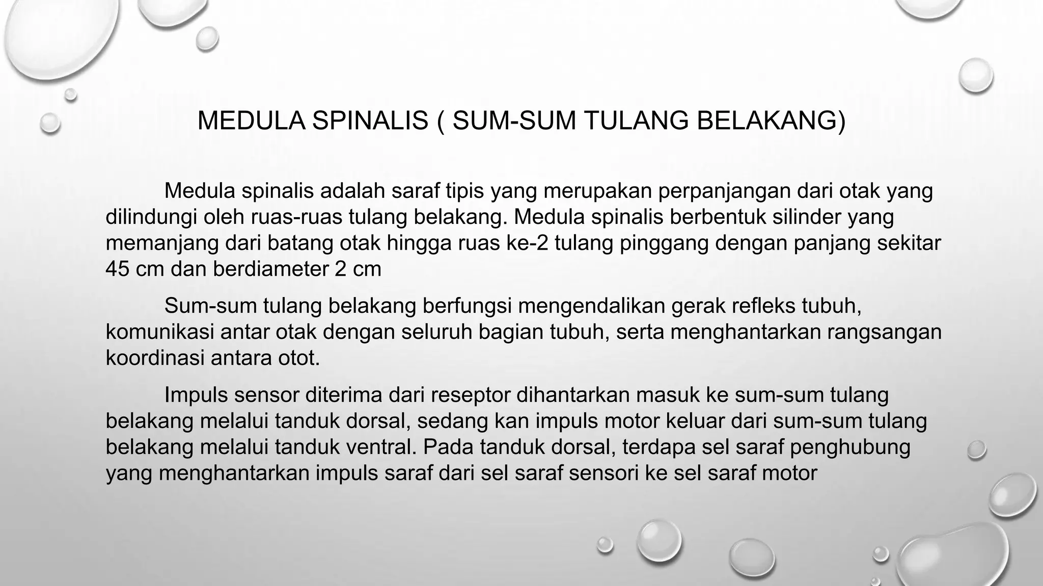 Biologi sistem saraf pusat | PPTX