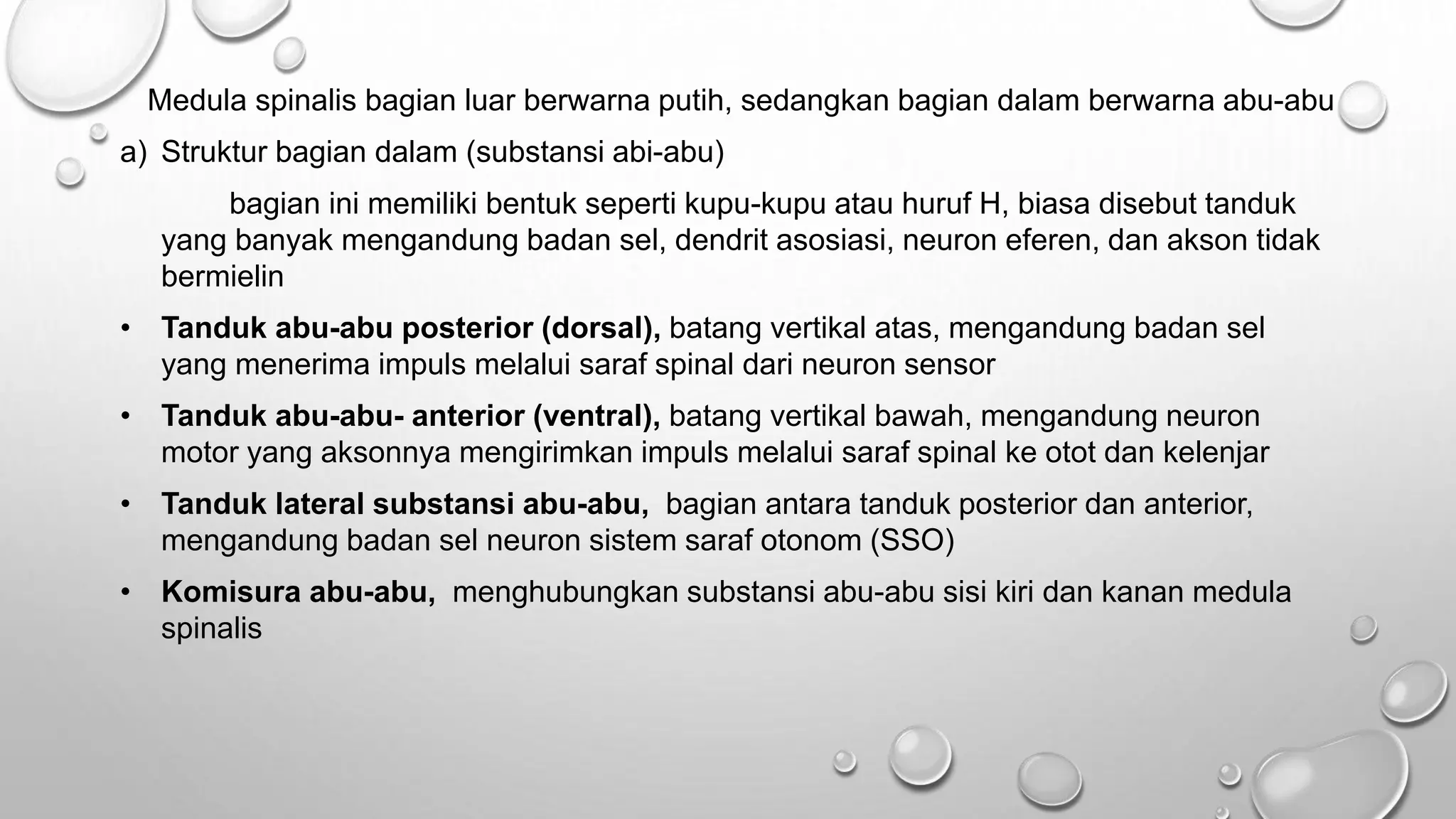 Biologi sistem saraf pusat | PPTX