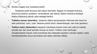 Biologi sistem saraf pusat | PPTX