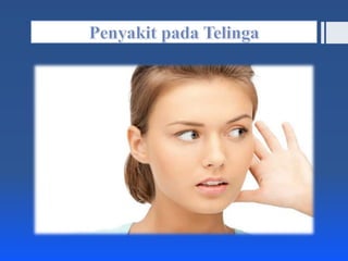 materi alat indra | PPTX