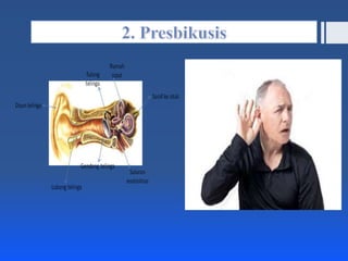 materi alat indra | PPTX