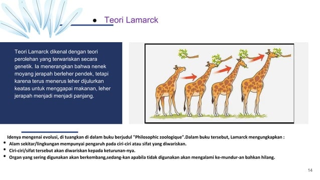 BIOLOGI TEORI EVOLUSI.pptx