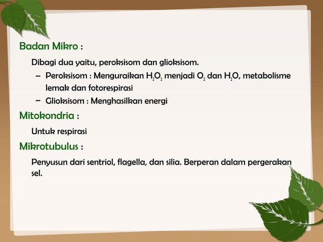 Tipe Sel dan Struktur Sel # Biologi | PPT